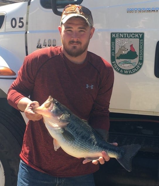 KYFW Brood Stock Program – Kentucky Bass Federation